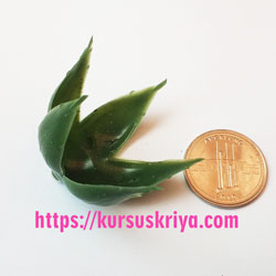 Mahkota Bunga Mawar Imitasi 4 Cm isi 12 Pcs (MBS120) | KURSUS KRIYA